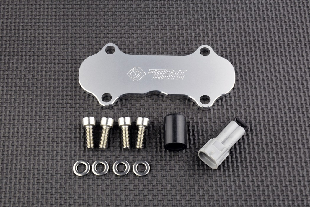 AIS Valve Removal Kit with Block Off Plate PLE-132 - SmartMoto